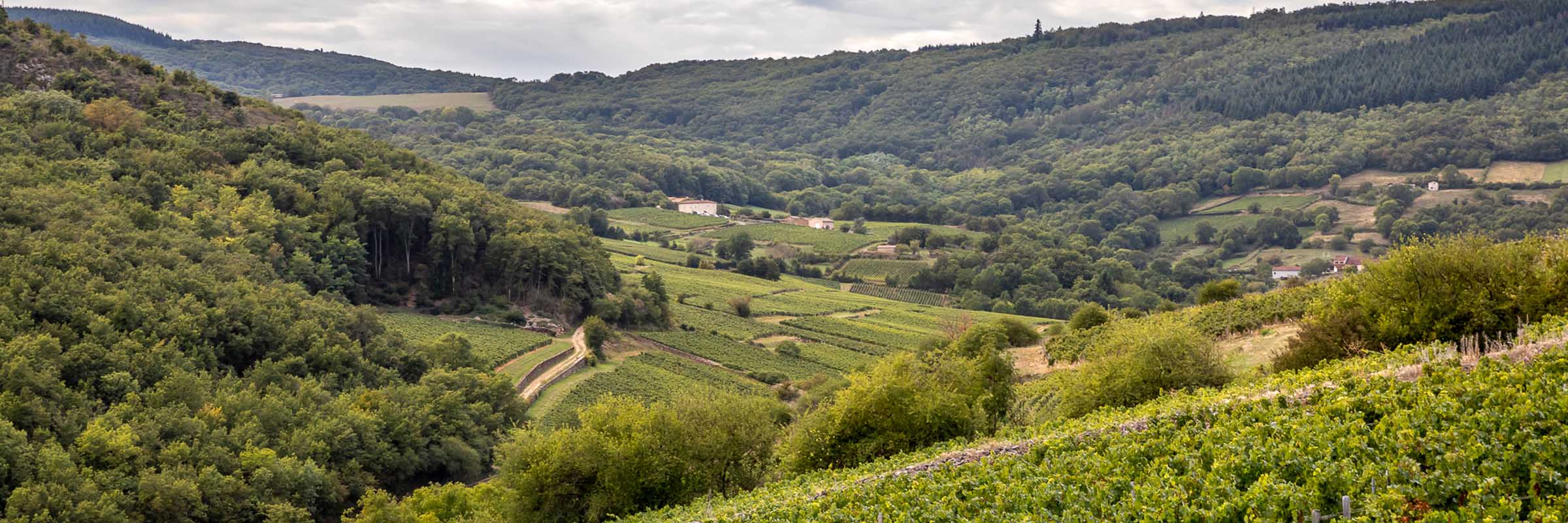 France – PEOPLE OF WINE