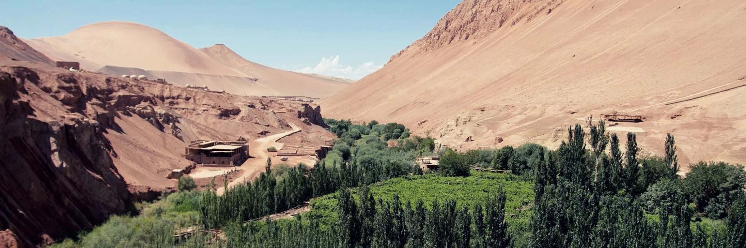 Rest of the World – PEOPLE OF WINE